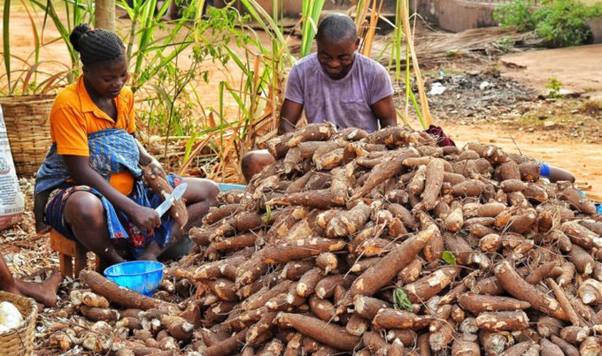 Bad Food Kills Thousands Of People Every Year, WHO Warns - The Bulrushes