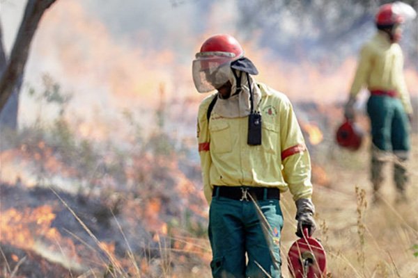 SA Firefighters Return From Canada Mission - The Bulrushes